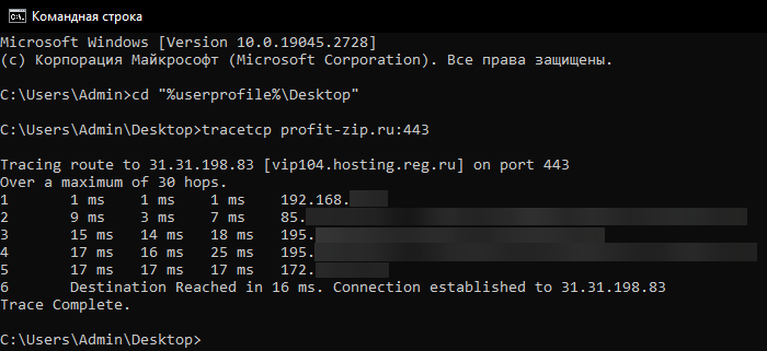 Трассировка порта в Windows (CMD) Profit-zip